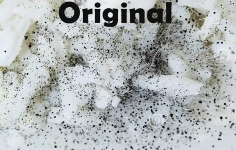 Află cum poți face diferența dintre orezul artificial și orezul natural ...